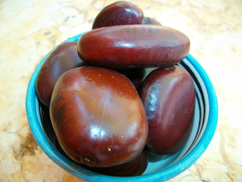 צמחי מרפא ושימושם במסורת האפגנית